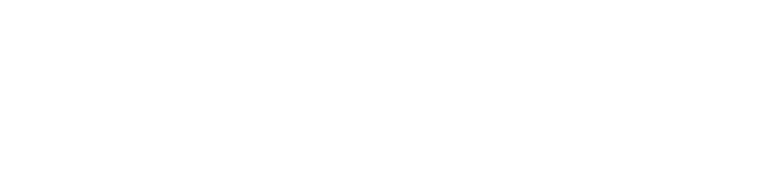 The child rights system - Domovik